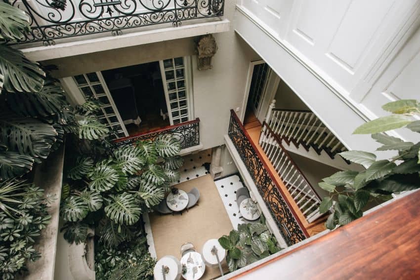 Best Gay-Friendly Hotels in Mexico City